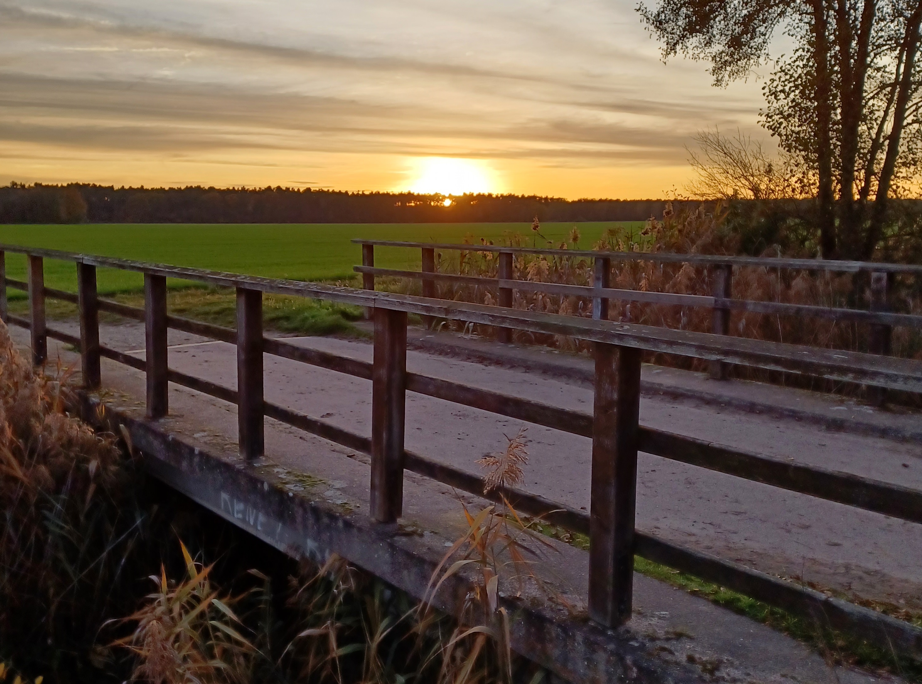 de | Schönwalde-Glien